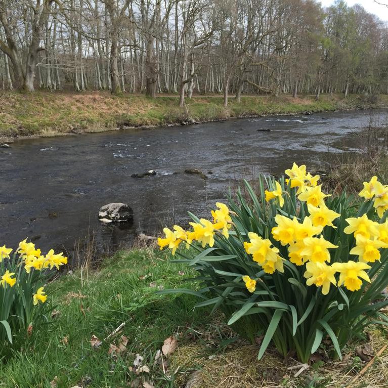 Macintyre & Thomson | Country Sports Agency | Perthshire, Scotland